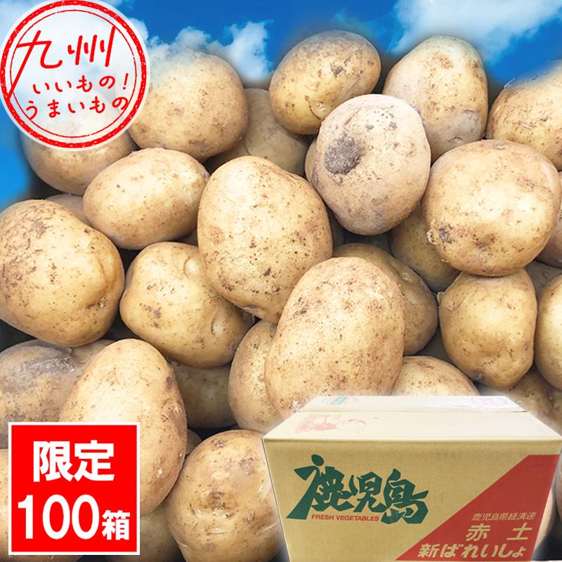 鹿児島県徳之島産 新じゃがいも（ニシユタカ） 2L〜3L 10kg箱 JAあまみ : イオン九州オンライン九州いいものうまいもの - 通販 - Yahoo!ショッピング