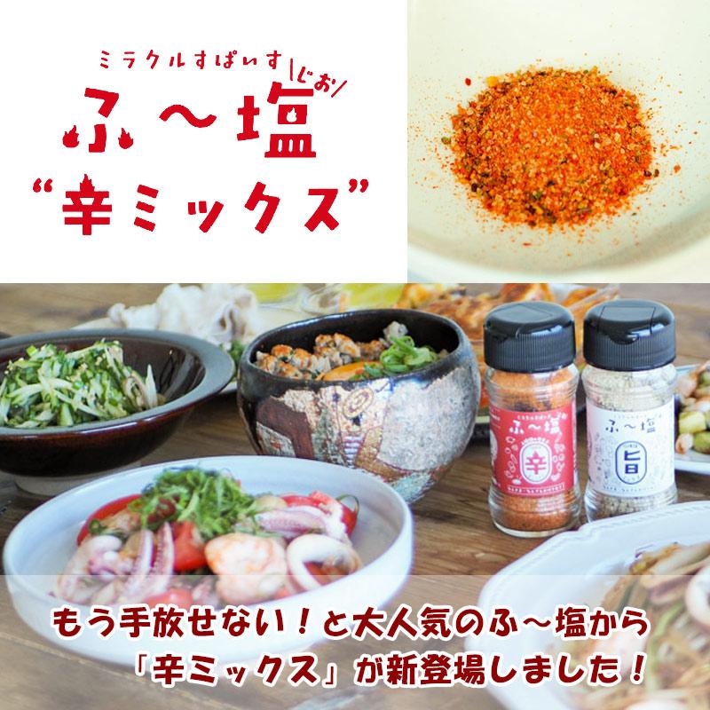 ミラクルすぱいす ふ〜塩 2本セット（旨ミックス65g瓶+辛ミックス55g瓶） : 4990022539021 : イオン九州オンライン九州いいものうまいもの - 通販 - Yahoo!ショッピング