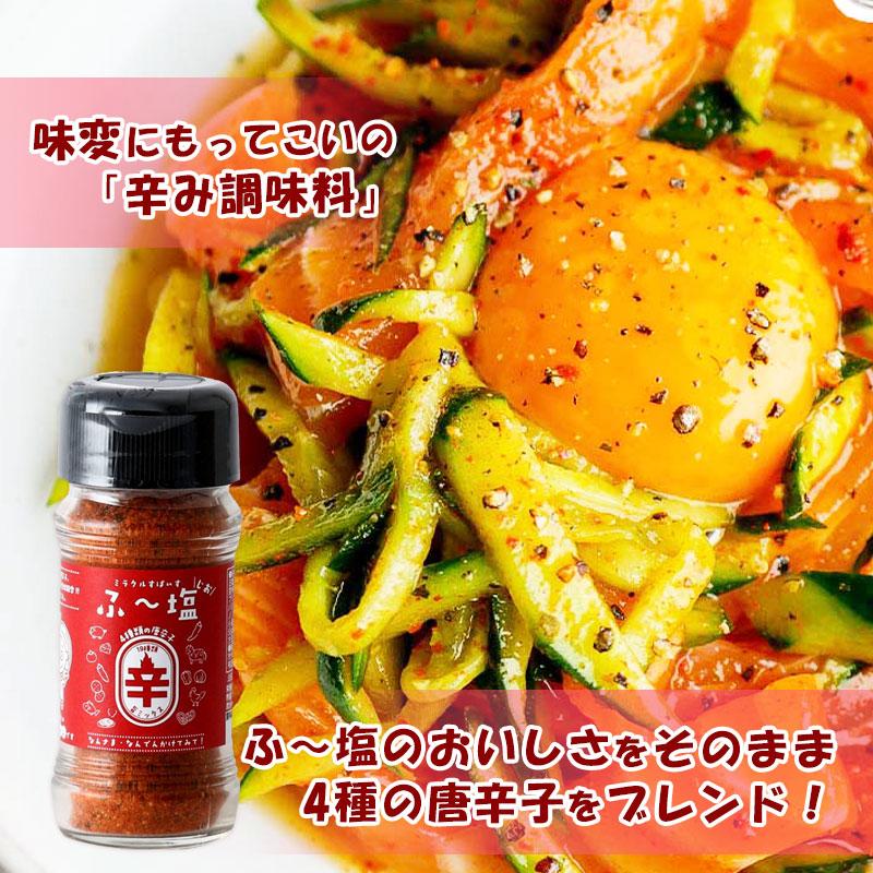 ミラクルすぱいす ふ〜塩 2本セット（旨ミックス65g瓶+辛ミックス55g瓶） : 4990022539021 : イオン九州オンライン九州いいものうまいもの - 通販 - Yahoo!ショッピング