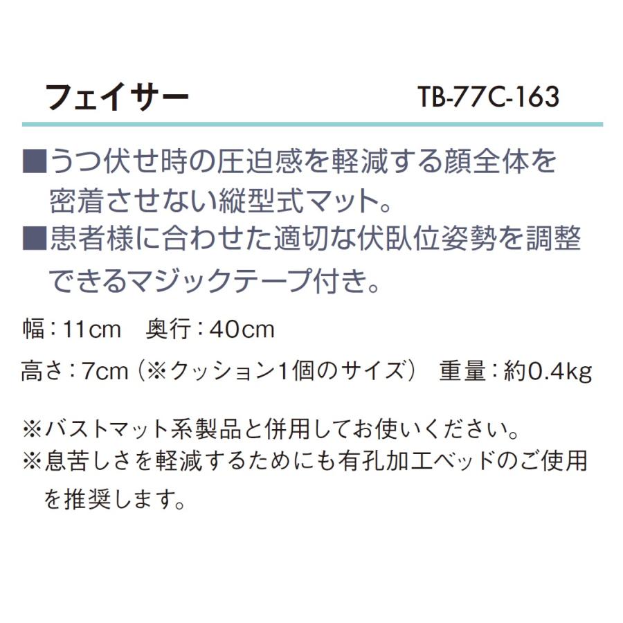 高田ベッド製作所 高田ベッド フェイサー（TB-77C-163） 縦型クッション 治療用 補助クッション 施術用 マッサージ用 マクラ 枕 : エステライン ヤフー店 - 通販 - Yahoo ...