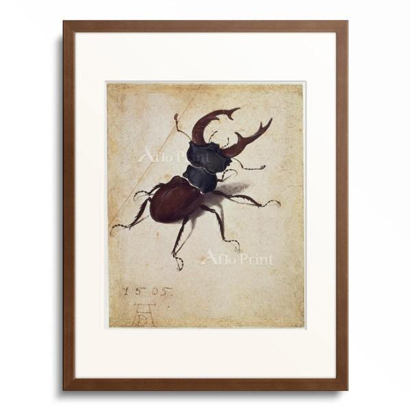 アルブレヒト・デューラー Albrecht Durer 「Stag beetle」 : アフロプリント - 通販 - Yahoo!ショッピング