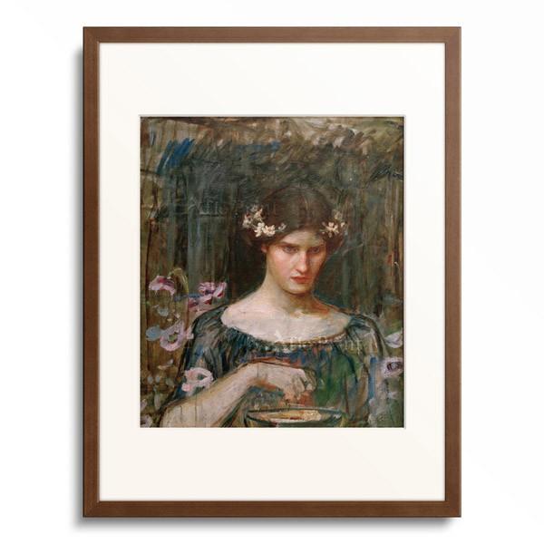 ジョン・ウィリアム・ウォーターハウス John William Waterhouse 「Medea」 : アフロプリント - 通販 ...