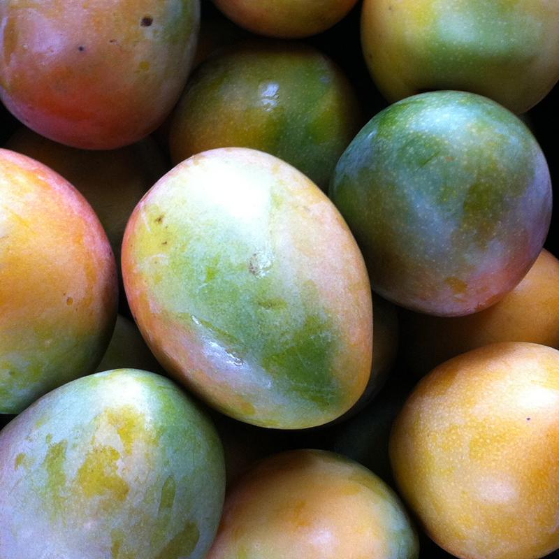 【リペンス種】有機JAS ドライマンゴー 500G 無添加・無漂白・砂糖不使用 ブルキナファソ : マンゴロベ ヤフー店 - 通販 - Yahoo!ショッピング