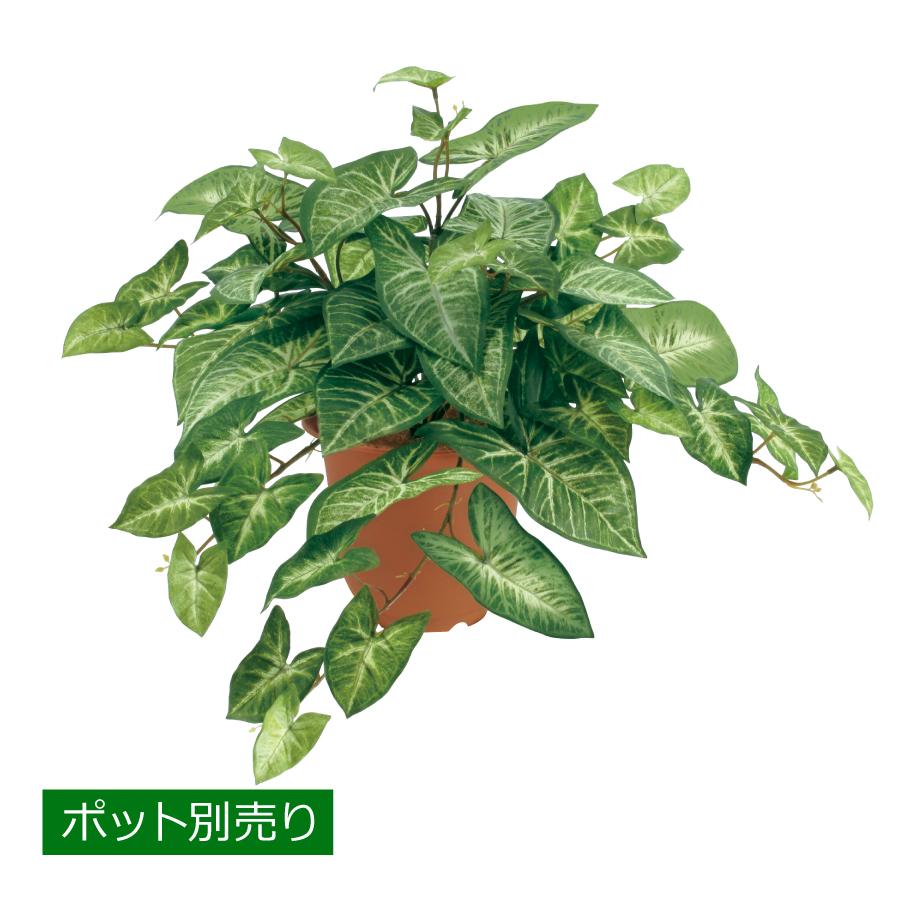 シンゴニウムブッシュ LEB-8101 : artgarden - 通販 - Yahoo!ショッピング