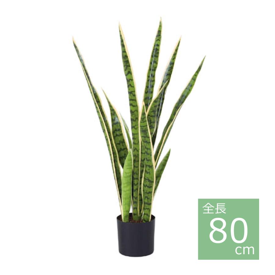 80cmサンセベリア(グリーン/ホワイト) LET-2027-S-GR-WH : artgarden - 通販 - Yahoo!ショッピング