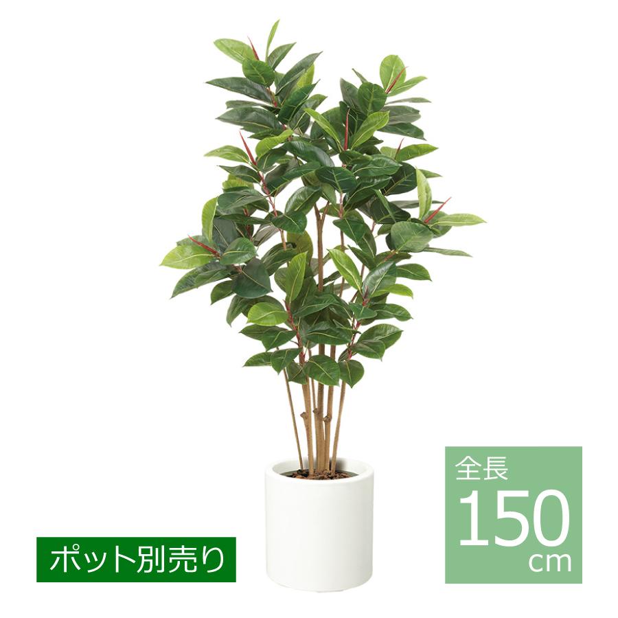 150cmゴムの木 LET-2061-M : artgarden - 通販 - Yahoo!ショッピング