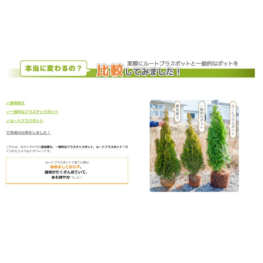 ルートプラスポット 250M (ポット径 25cm / 高さ 容量 12L) : アグリベース四万十 Yahoo!店 - 通販 - Yahoo!ショッピング