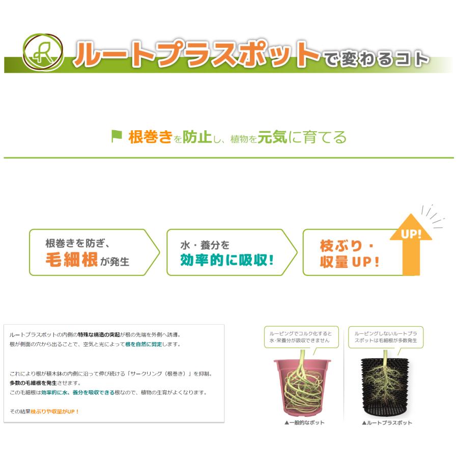 ルートプラスポット 300M (ポット径 30cm / 高さ 29cm 容量 21L) : アグリベース四万十 Yahoo!店 - 通販 - Yahoo!ショッピング