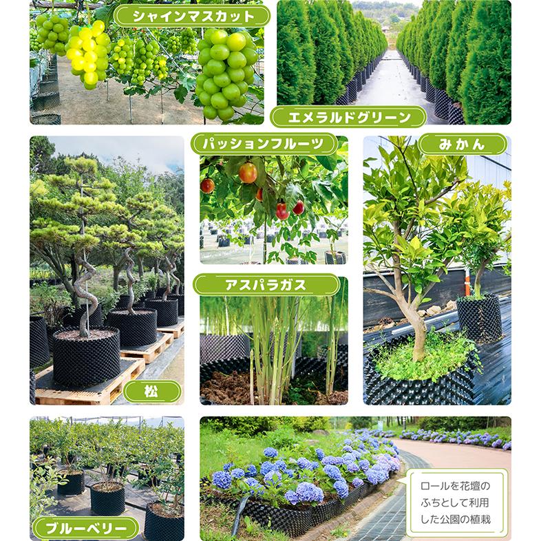 ルートプラスポット 400M (ポット径 40cm / 高さ 容量 50L) : アグリベース四万十 Yahoo!店 - 通販 - Yahoo!ショッピング