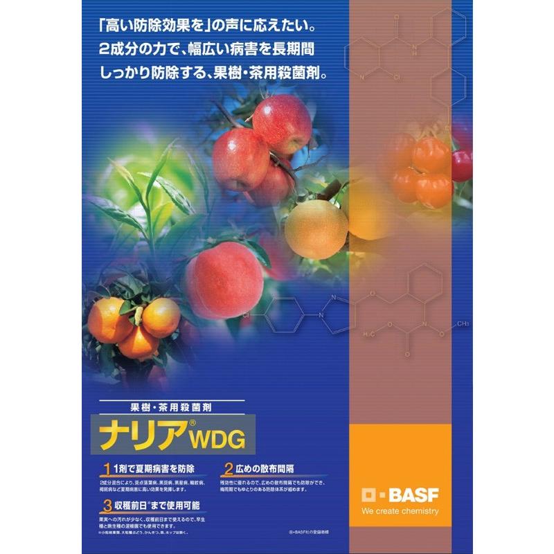 果樹・茶用殺菌剤 ナリアWDG 250g : アグリマートYahoo!店 - 通販 - Yahoo!ショッピング