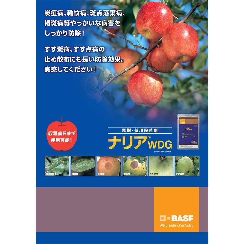 果樹・茶用殺菌剤 ナリアWDG 250g : アグリマートYahoo!店 - 通販 - Yahoo!ショッピング