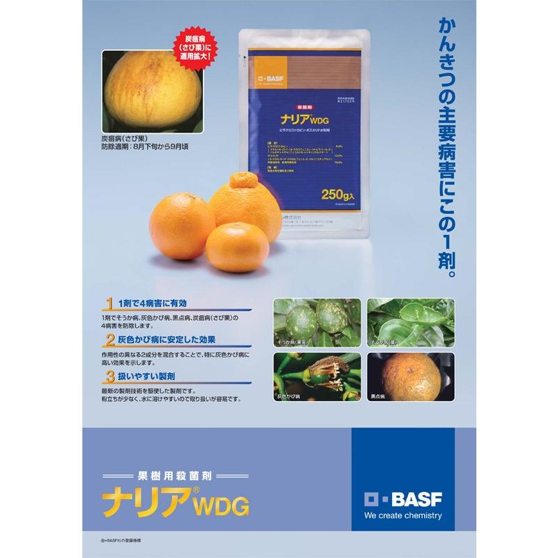 果樹・茶用殺菌剤 ナリアWDG 250g : アグリマートYahoo!店 - 通販 - Yahoo!ショッピング