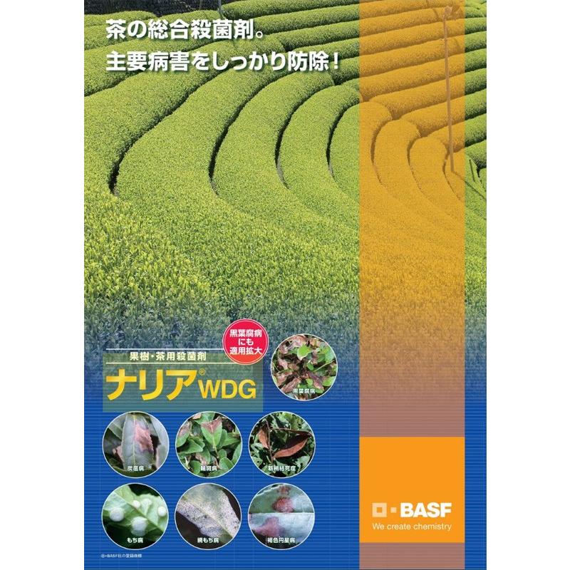 果樹・茶用殺菌剤 ナリアWDG 250g : アグリマートYahoo!店 - 通販 - Yahoo!ショッピング