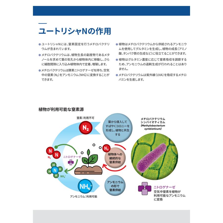 窒素固定細菌 ユートリシャN 333g : アグリマートYahoo!店 - 通販 - Yahoo!ショッピング