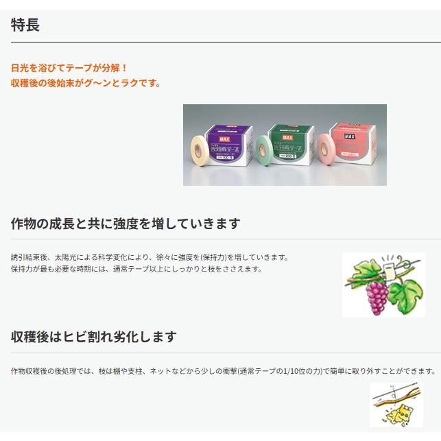 楽らくテープナー 専用テープ 100-R MAX ぶどう きゅうり 11mm×38m 10巻入 : 農薬・園芸用品・アグリミライズYahoo!店 - 通販 - Yahoo!ショッピング