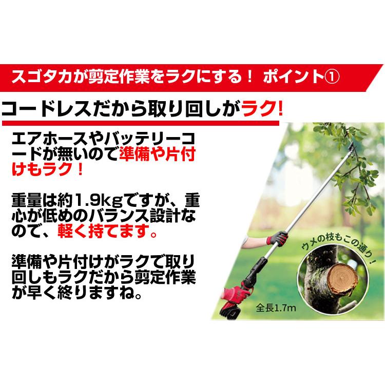 アルス (プレミア保証付)(電動剪定はさみ) スゴタカ EPT-720-1.7 コードレス電動高枝鋏 1.7m 電動剪定ばさみ おススメ (バッテリー2個・充電器・取説 付属) : アグリズ ...