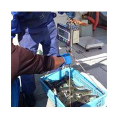 クボタ計装 フックスケールミニ KL-HS-150-MINI : アグリズ Yahoo!ショッピング店 - 通販 - Yahoo!ショッピング