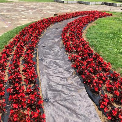 防草シート 1m 耐候年数約10年以上 日本マタイ 強力 防草クロスシート PRO 1m X 50m (HC10663) 2本 ウッディブラウン 茶色 環境配慮 家庭菜園 ガーデニング ...