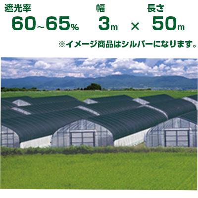 日本ワイドクロス 遮光ネット ワイドスクリーン S1210 シルバー 遮光率60〜65% 3m×50m (農業用)(園芸用)(農業資材)(家庭菜園)(ベランダ)(日除け)(300cm ...
