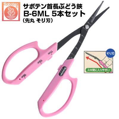 サボテン 首長先丸ぶどう鋏 そり刃 NO.B-6ML(5本セット) : アグリズ Yahoo!ショッピング店 - 通販 - Yahoo!ショッピング