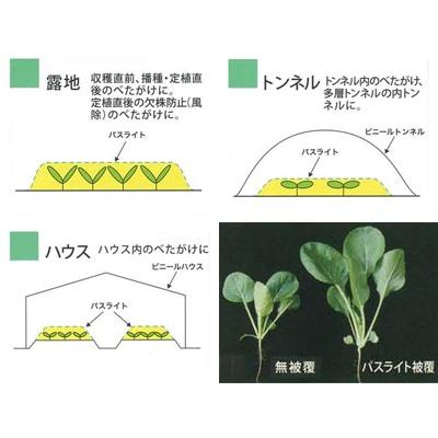 UNITIKA（ユニチカ） べたがけ用 不織布 パスライト 210cm×200m 3本入 S0153WGE : アグリズ Yahoo!ショッピング店 - 通販 - Yahoo!ショッピング