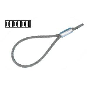 スリーエッチ/HHH LT12mm×3m ロック付 玉掛ワイヤー（メッキ） : 10023652 : プロの工具専門店 愛道具館 - 通販 ...