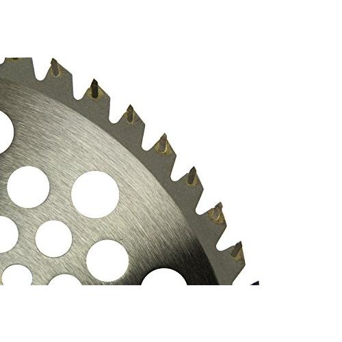 イーバリュー(E-Value) 刈払作業用 山林用チップソー 255mm×60P 2枚組 軽量 25cc以上推奨 雑草・笹(竹)・枝刈 直径50 : aisbf29ffe01c : ai ...