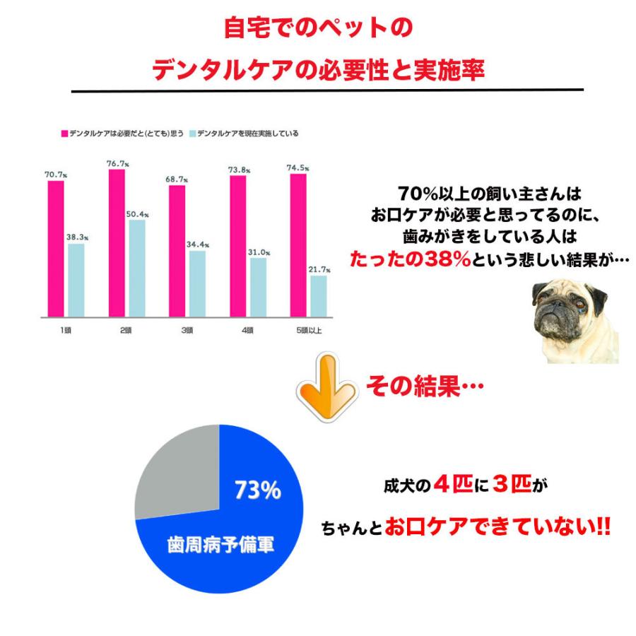 KPS ミントプラス マウスクリーナー 118ml 口腔ケア デンタル 歯 : AIAI(アイアイ) - 通販 - Yahoo!ショッピング