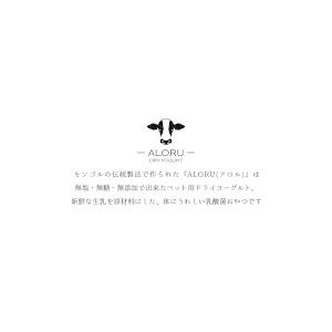 FLF 生乳ドライヨーグルト ALORU(アロル) スティック 30g【乳酸菌 おやつ】 : AIAI(アイアイ) - 通販 - Yahoo!ショッピング