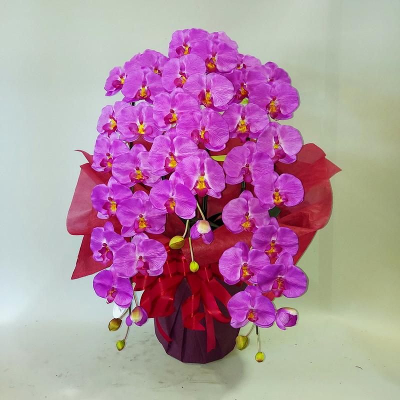 胡蝶蘭DXL/赤/3F（造花）高80×幅40・光触媒・ラッピングは無料でお付けしています。 : アイフラワー&グリーン - 通販 ...