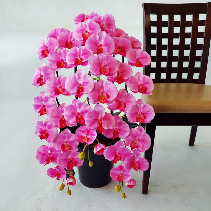 胡蝶蘭DXL/ピンク/3F（造花）高80×幅40・光触媒・ラッピングは無料でお付けしています。 : アイフラワー&グリーン - 通販 ...