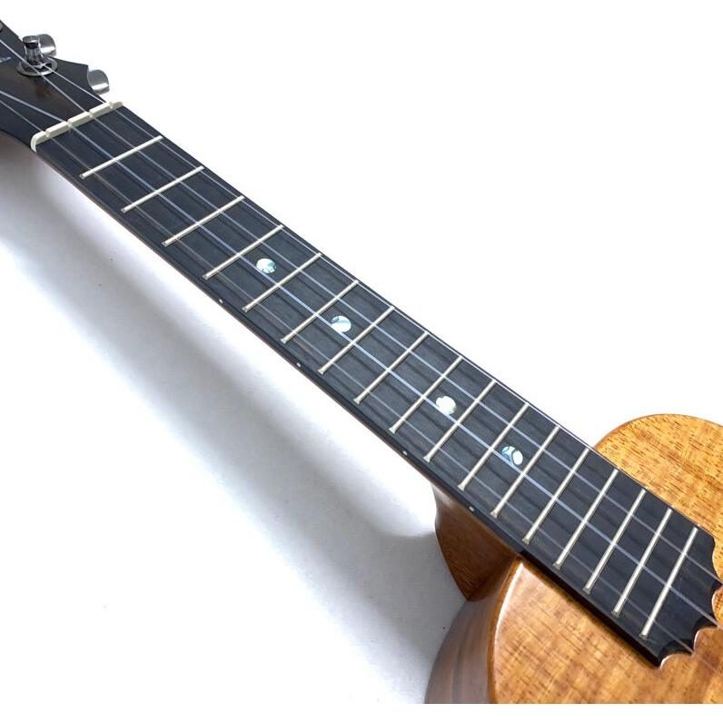 KoAloha KCM-10RP ハワイアンコア単板ボディ コンサート ウクレレ Royal Pikake : 愛曲楽器 Yahoo!ショッピング店 - 通販 - Yahoo!ショッピング