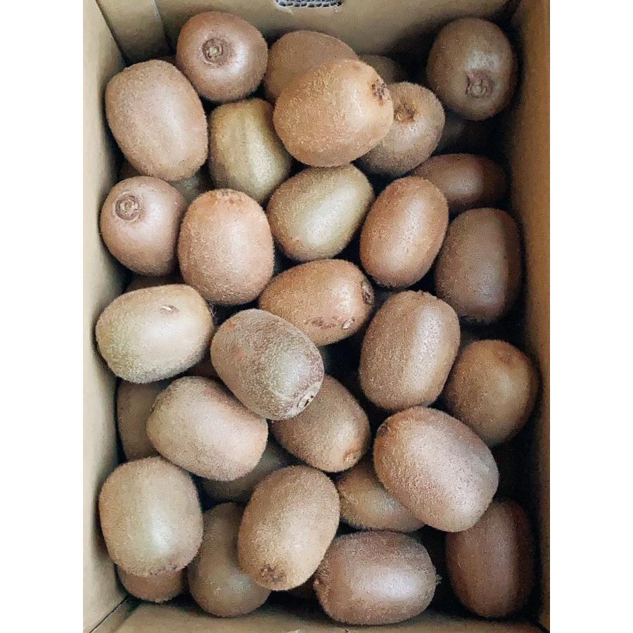 国産 キウイフルーツ ご家庭用 5kg 愛媛県産 M~2Lサイズ : 愛ランド フルーツ ヤフー店 - 通販 - Yahoo!ショッピング