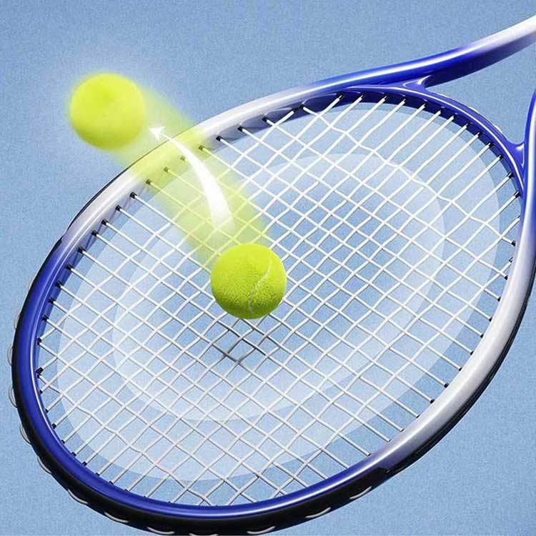 テニス 子供向け テニストレーナー 練習器具 器具 練習 2人 テニス練習 1人 成人向け ボール 素振り 10点セット 子供 : aimerfleur - 通販 - Yahoo!ショッピング