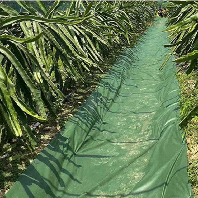 0.66mm 除草 防草シート グリーン ザバーン 強力タイプ 1m×10m 厚手 除草シート シート本体 ロール 雑草防止 緑 法面 : aimerfleur - 通販 - Yahoo!ショッピング