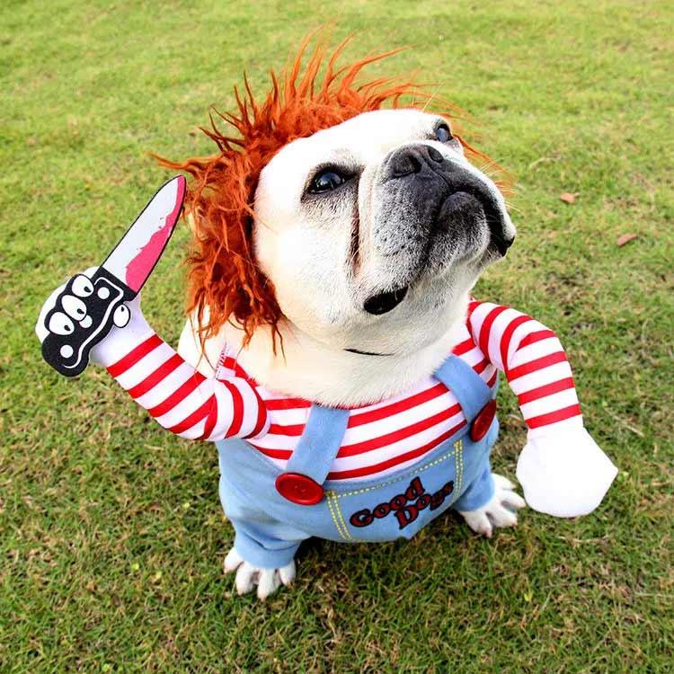 S〜XL 犬服 ハロウィン 犬用 コスプレ 洋服 変装 コスチューム 3タイプ 面白い ウケる 犬の服 クリスマス 仮装 小型犬 中型犬 大型犬 かわ :yuzu471404 ...