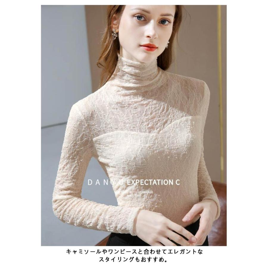 シアートップス シアー きれいめ シアーインナー 裏起毛 シアータートル ハイネック 防寒 裏起毛 薄い レディース シアーカットソー 長袖 カットソ : yuzu545931 ...