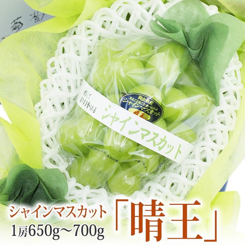 【晴王 (はれおう) シャインマスカット】1房 650〜750g (岡山産) 高糖度 ぶどう フルーツ くだもの 果物 :hareou-tk-65:愛の果実 - 通販 - Yahoo!ショッピング