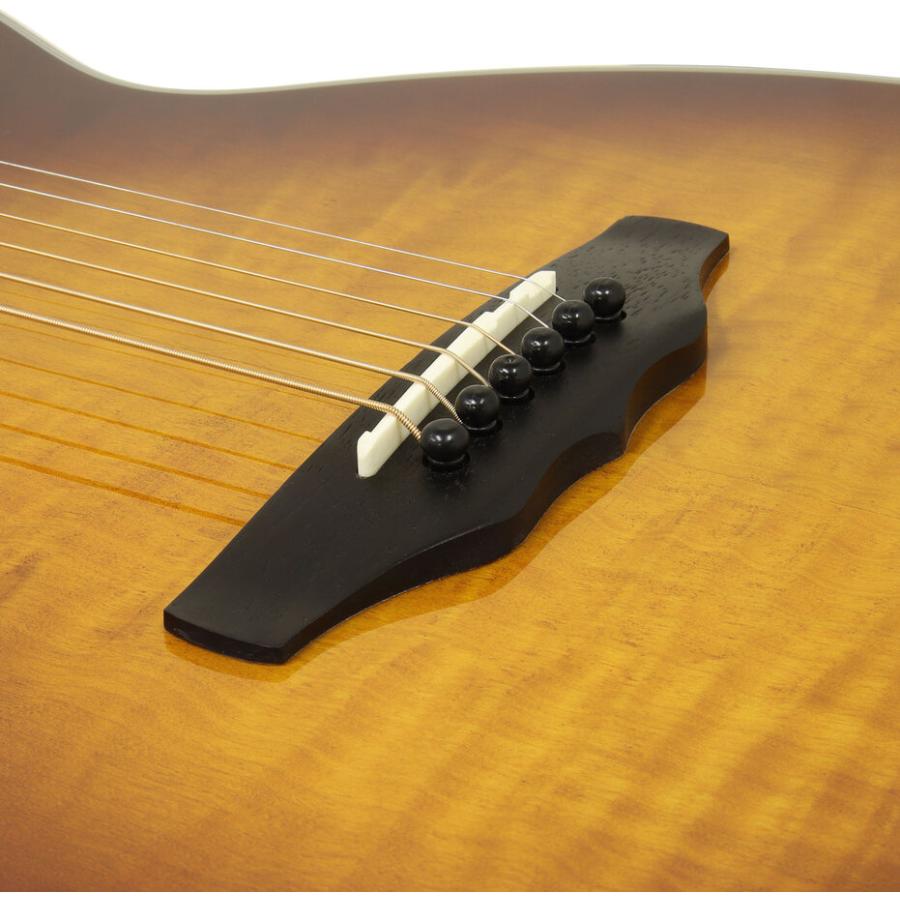 ARIA（楽器） ARIA APE-100 SR (See-through Red) Fishmanピエゾピックアップ搭載 薄胴 エレアコ/ギグバッグ付 : さくら山楽器 - 通販 ...