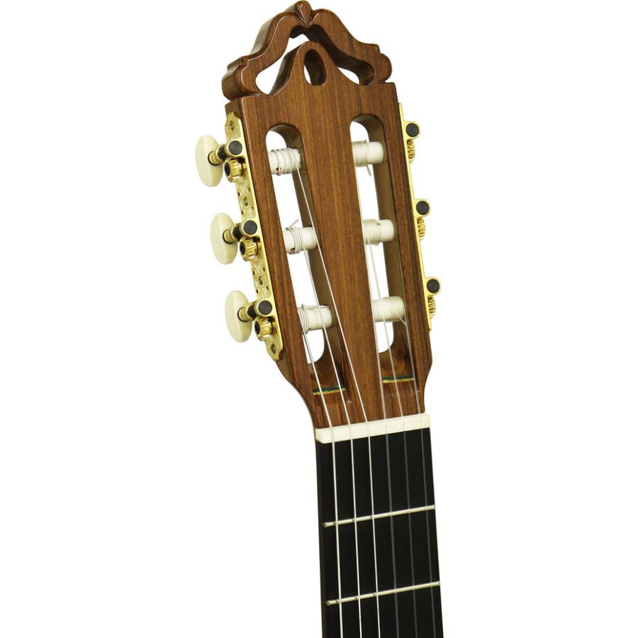 ESTEVE 12 Spr スプルース単板トップ スペイン製 クラシックギター : さくら山楽器 - 通販 - Yahoo!ショッピング