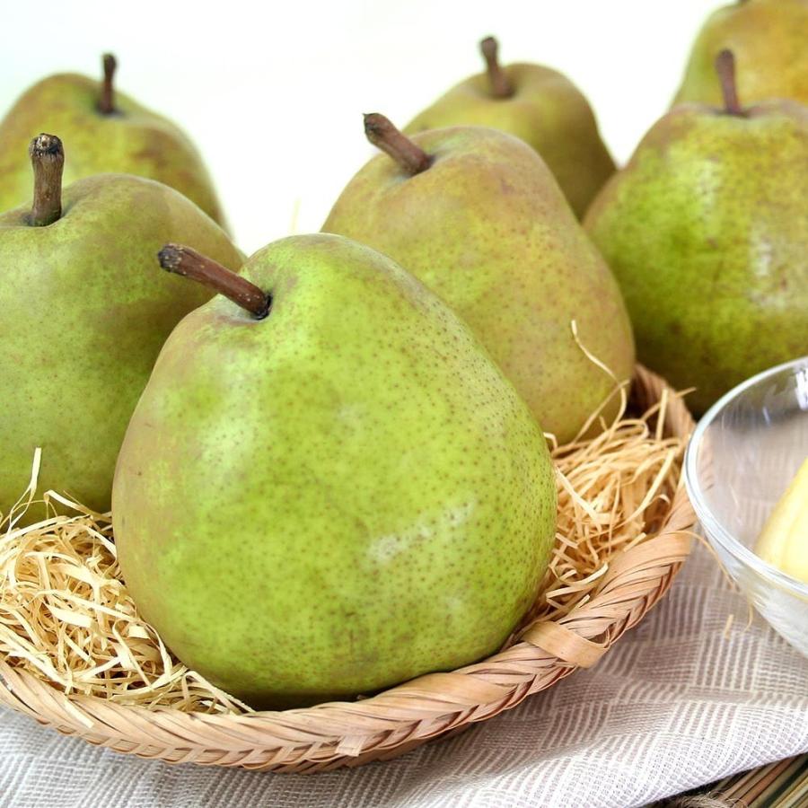 Main - 2021新入荷 お歳暮 ギフト 桐箱入り 棚作り 秀品 ラフランス 山形県産 果物 大玉 6Lサイズ 川口果樹園 くだもの ...