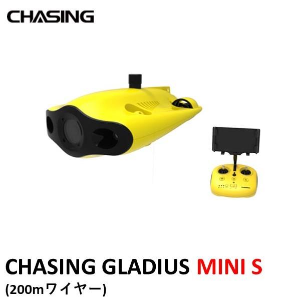 CHASING GLADIUS MINI S (200mワイヤー) : AIRSTAGE - 通販 - Yahoo!ショッピング