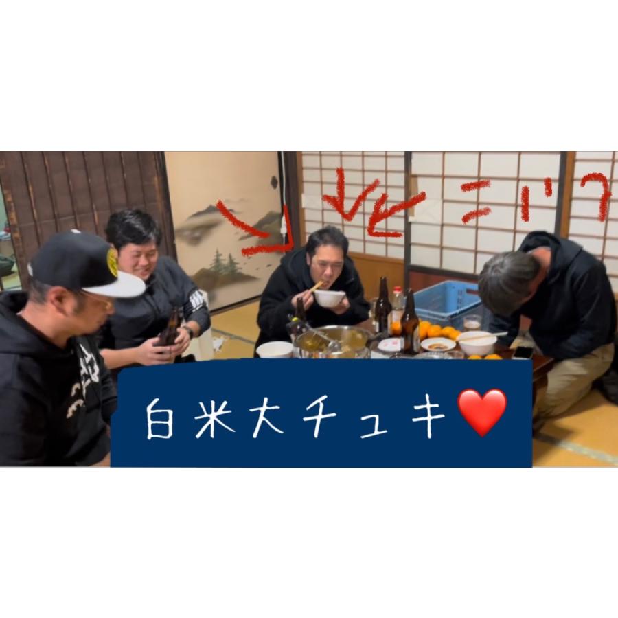 ブラッドオレンジ お家用 S〜3L 4kg : 四国の掘り出し物Yahoo!ショップ - 通販 - Yahoo!ショッピング