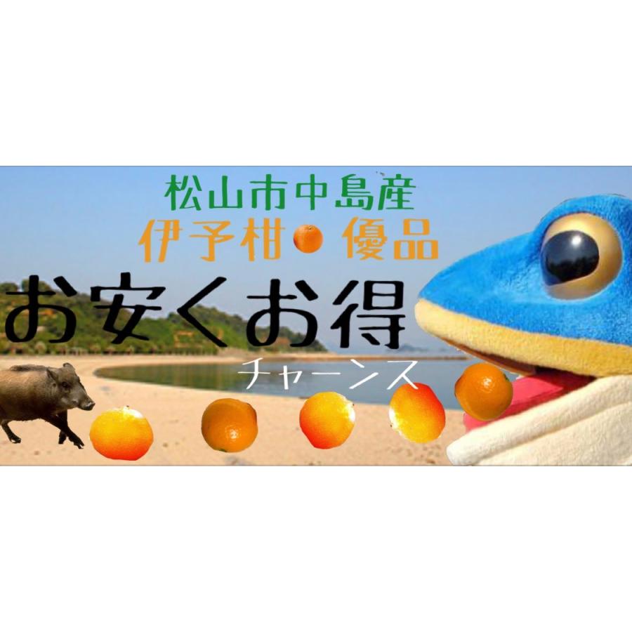松山市中島産伊予柑（優品）4kg : 四国の掘り出し物Yahoo!ショップ - 通販 - Yahoo!ショッピング
