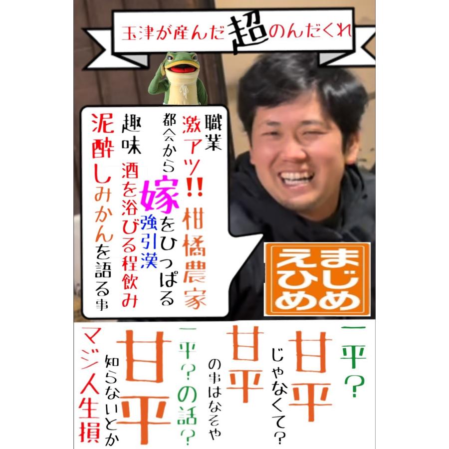 玉津産 甘平【お家用】4k （M〜4L）※2月上旬〜順次発送（産地直送） : 四国の掘り出し物Yahoo!ショップ - 通販 - Yahoo!ショッピング