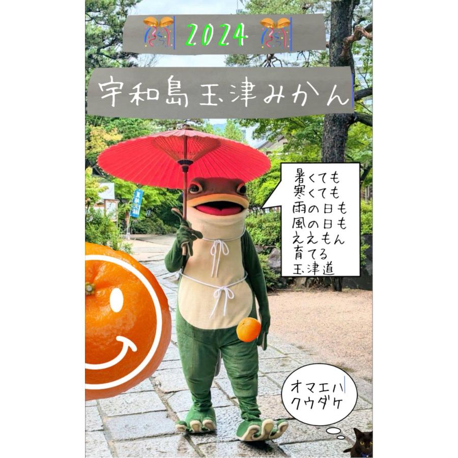 玉津早生みかん 約5kg【サイズ 2s〜3s】販売期間 10/4〜11/20 発送期間 11/5〜11/20 : 四国の掘り出し物Yahoo!ショップ - 通販 - Yahoo!ショッピング