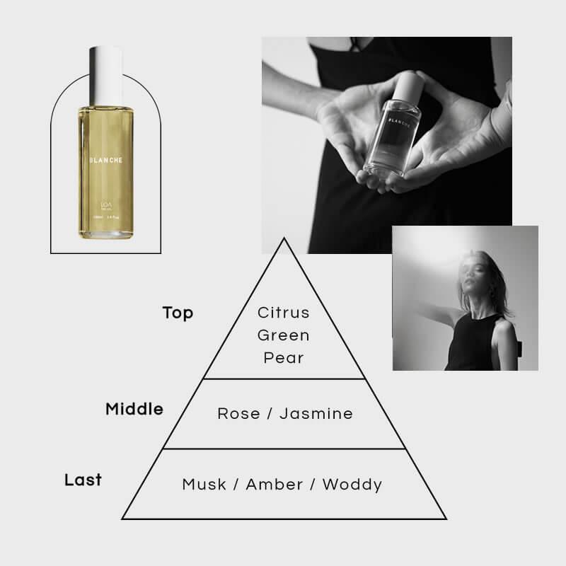 ロアザオイル LOA THE OIL ヘアオイル ラテローズ 100ml スタイリングオイル LATTE ROSE 正規販売店 : loaoil-r : BEAUTYPARK Yahoo!店 ...