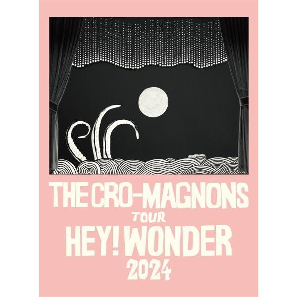 通常盤 ザ・クロマニヨンズ DVD/ザ・クロマニヨンズ ツアー HEY! WONDER 2024...24/9/25発売【オリコン加盟店 ...