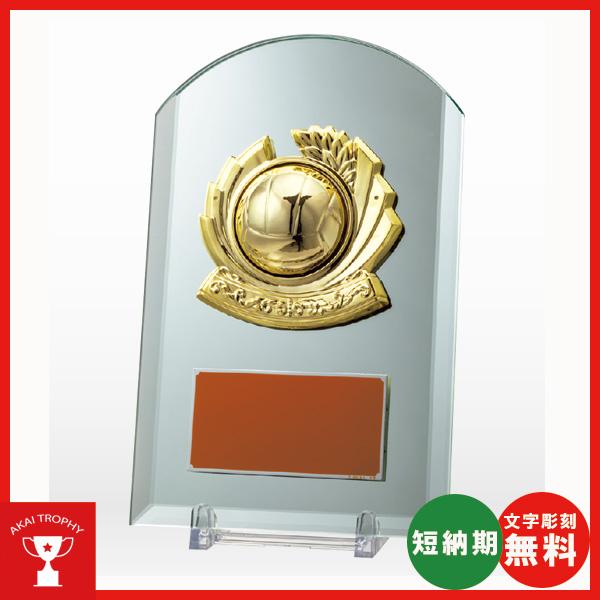 半立体ボールレリーフ付き楯 VSX.5568-A : vsx5568hb-a : 赤井トロフィー - 通販 - Yahoo!ショッピング