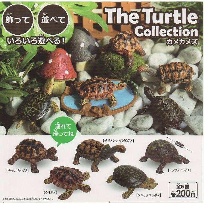The Turtle Collection カメンズ 全5種セット : Collectors Shop AKANE-茜Yahoo!店 - 通販 ...